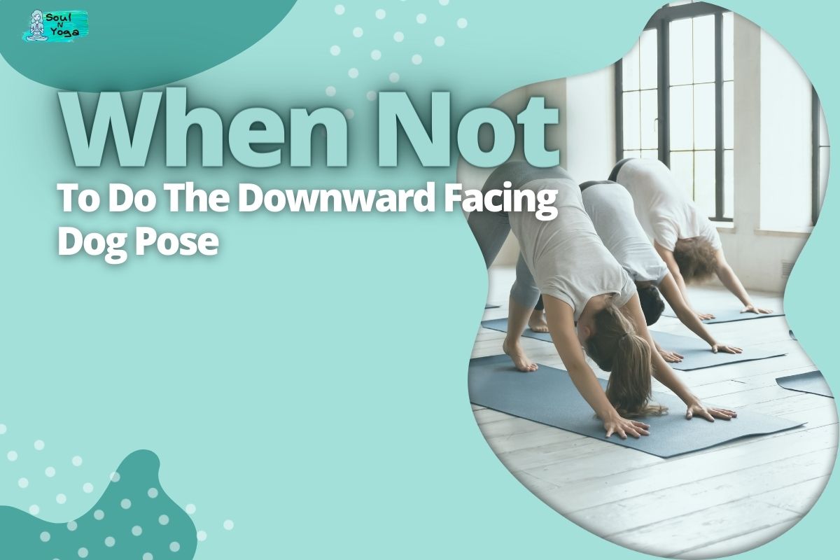 Downward Facing Dog Pose: What It Is And What Are Its Benefits?